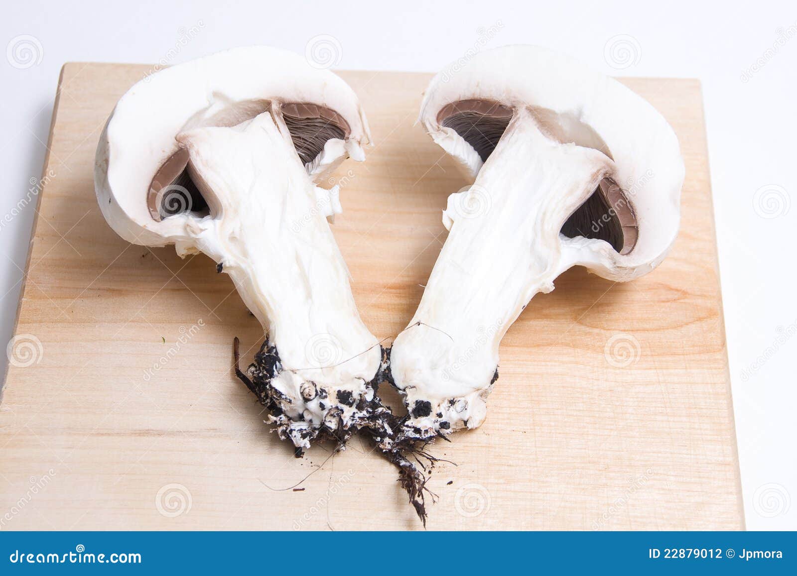 Mushroom in half stock photo. Image of champignon, ingredient - 22879012