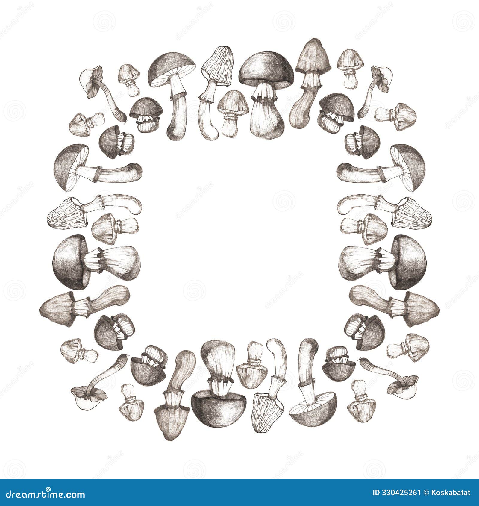 Mushroom Hand Drawn Graphic Frame Stock Illustration - Illustration of ...