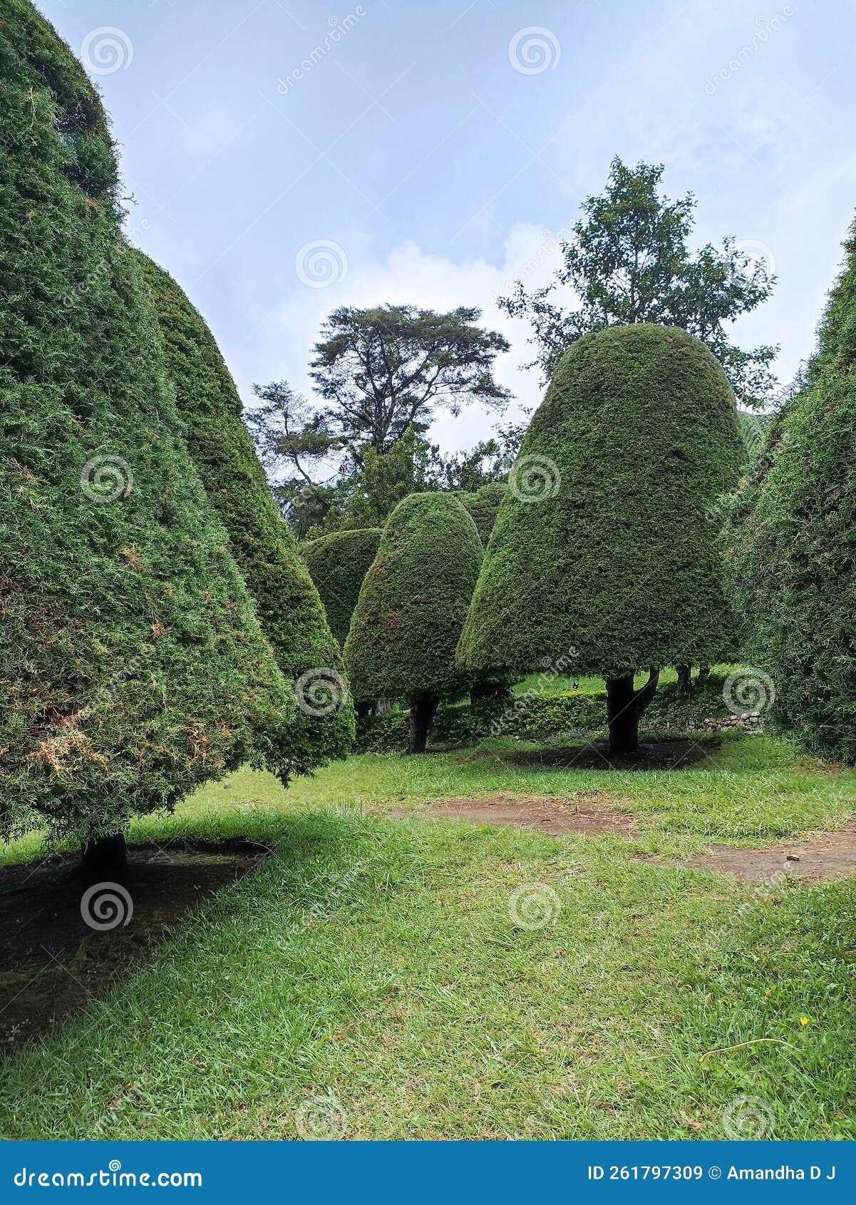 Bukit Jamur stock image. Image of indonesia, vegetation - 261797309