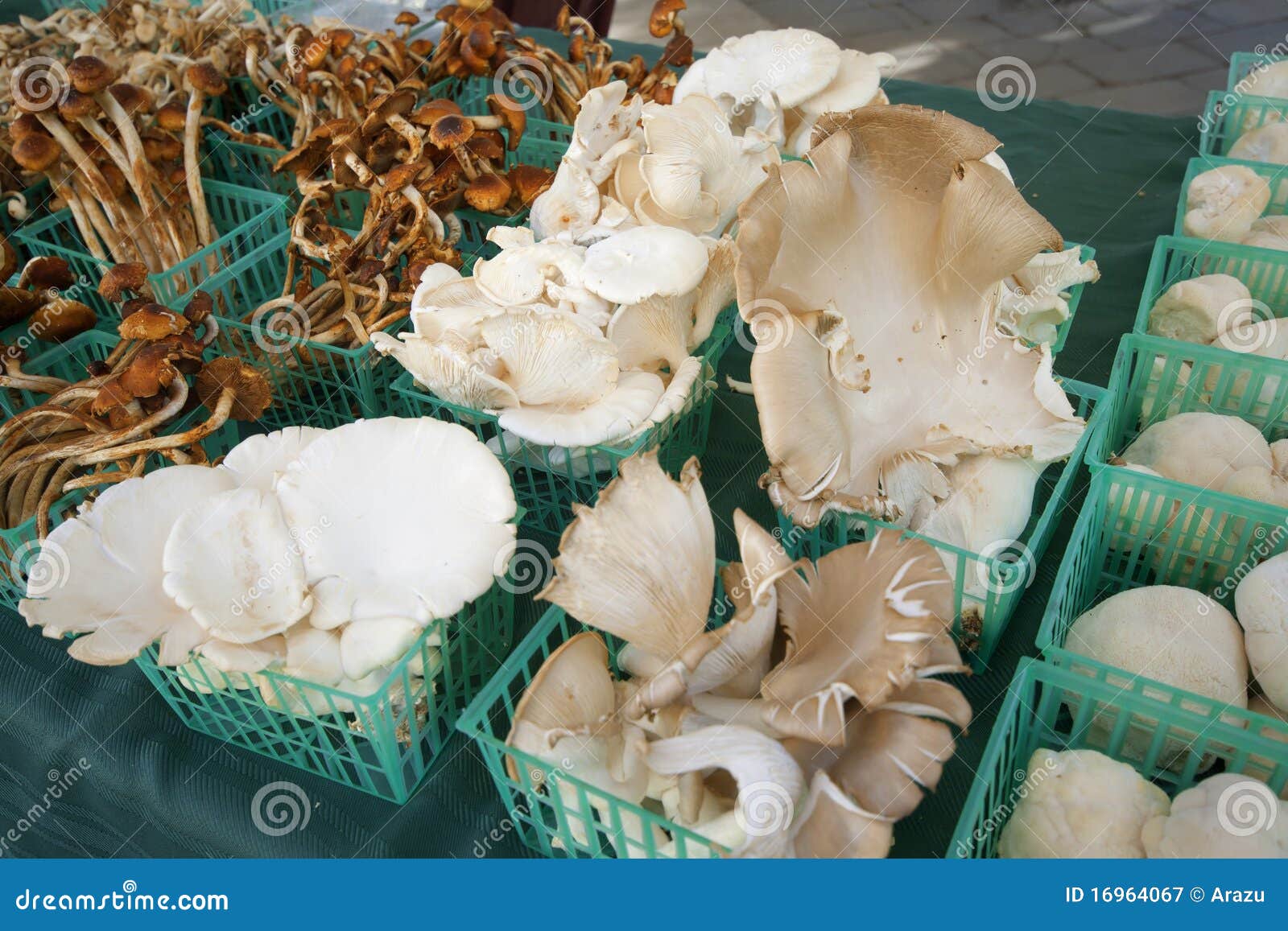 Mushroom market stock image. Image of autumn, harvest - 16964067