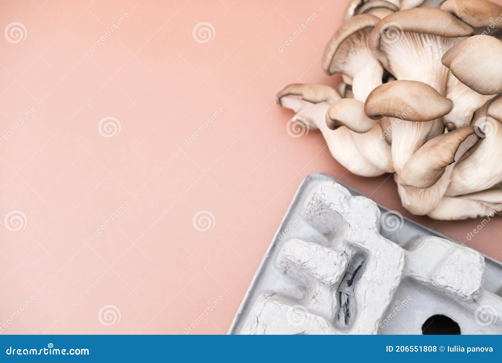Mushroom Packaging Solution. Compostable Packaging Stock Photo - Image ...