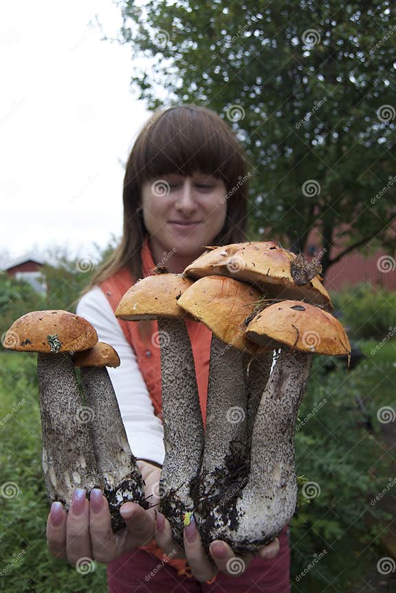 Mushroom picking stock image. Image of growth, little - 15850443