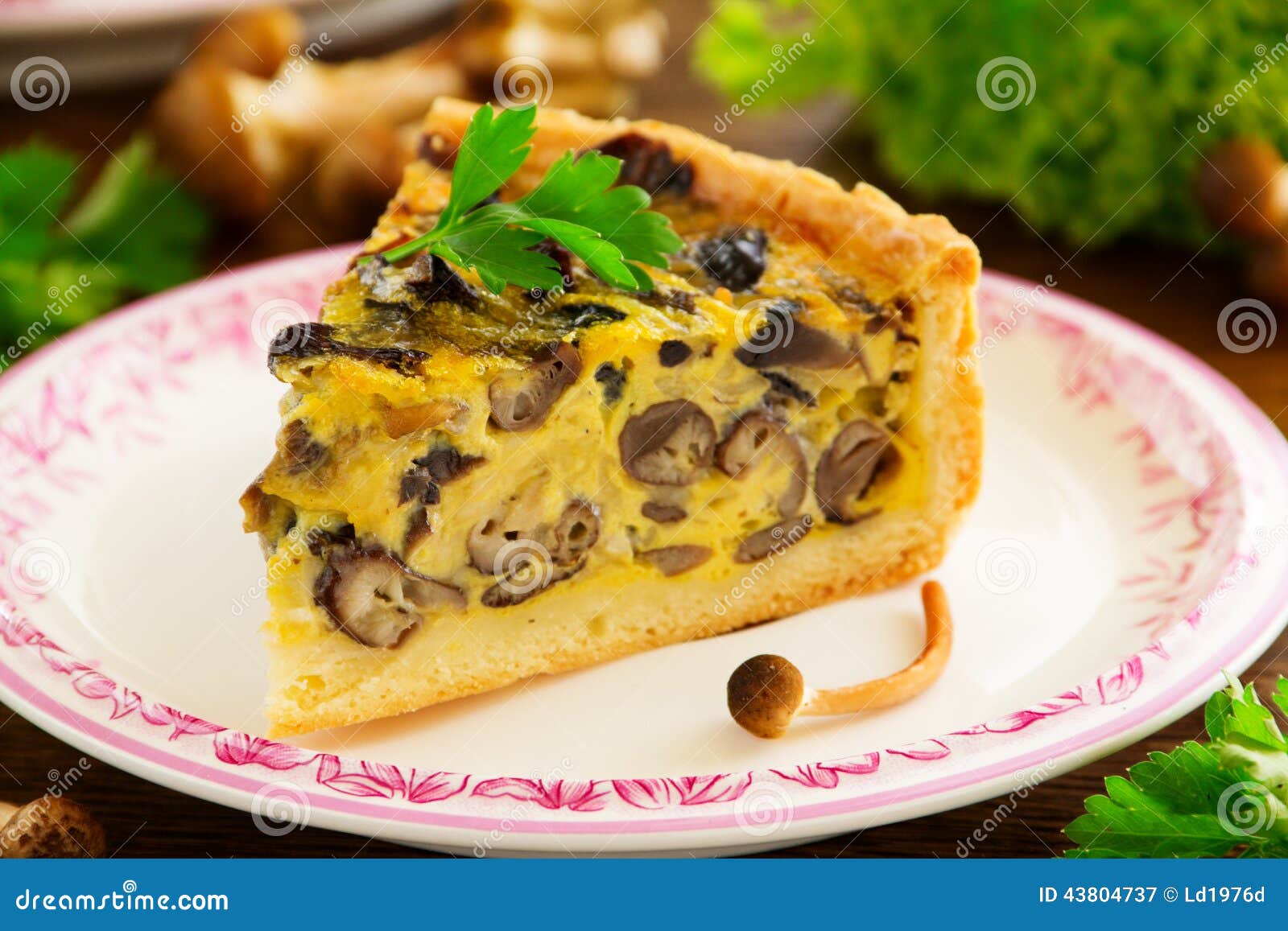 Mushroom pie with cheese stock image. Image of vegetarian - 43804737