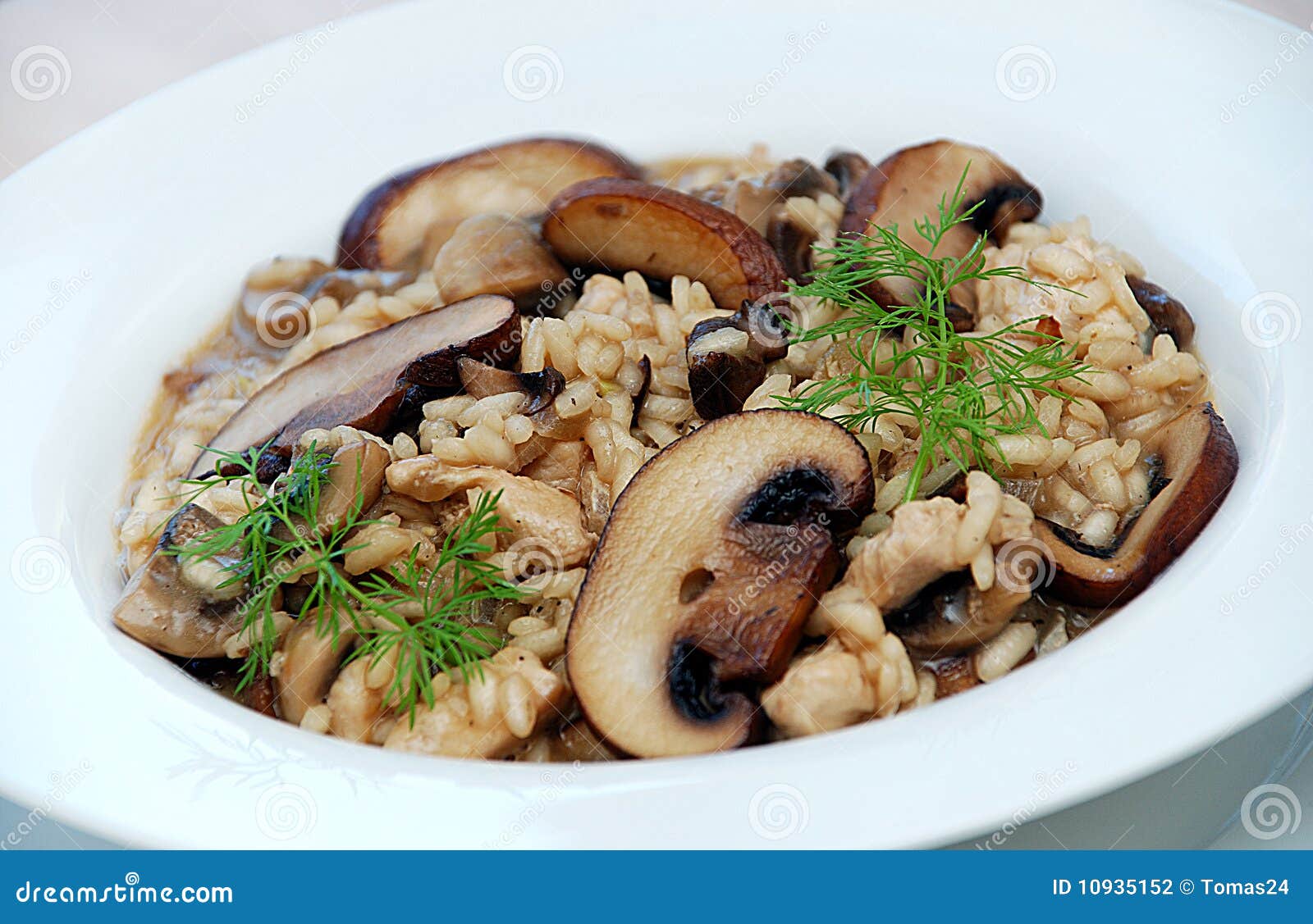 Mushroom risotto stock photo. Image of meal, dinner, risotto - 10935152
