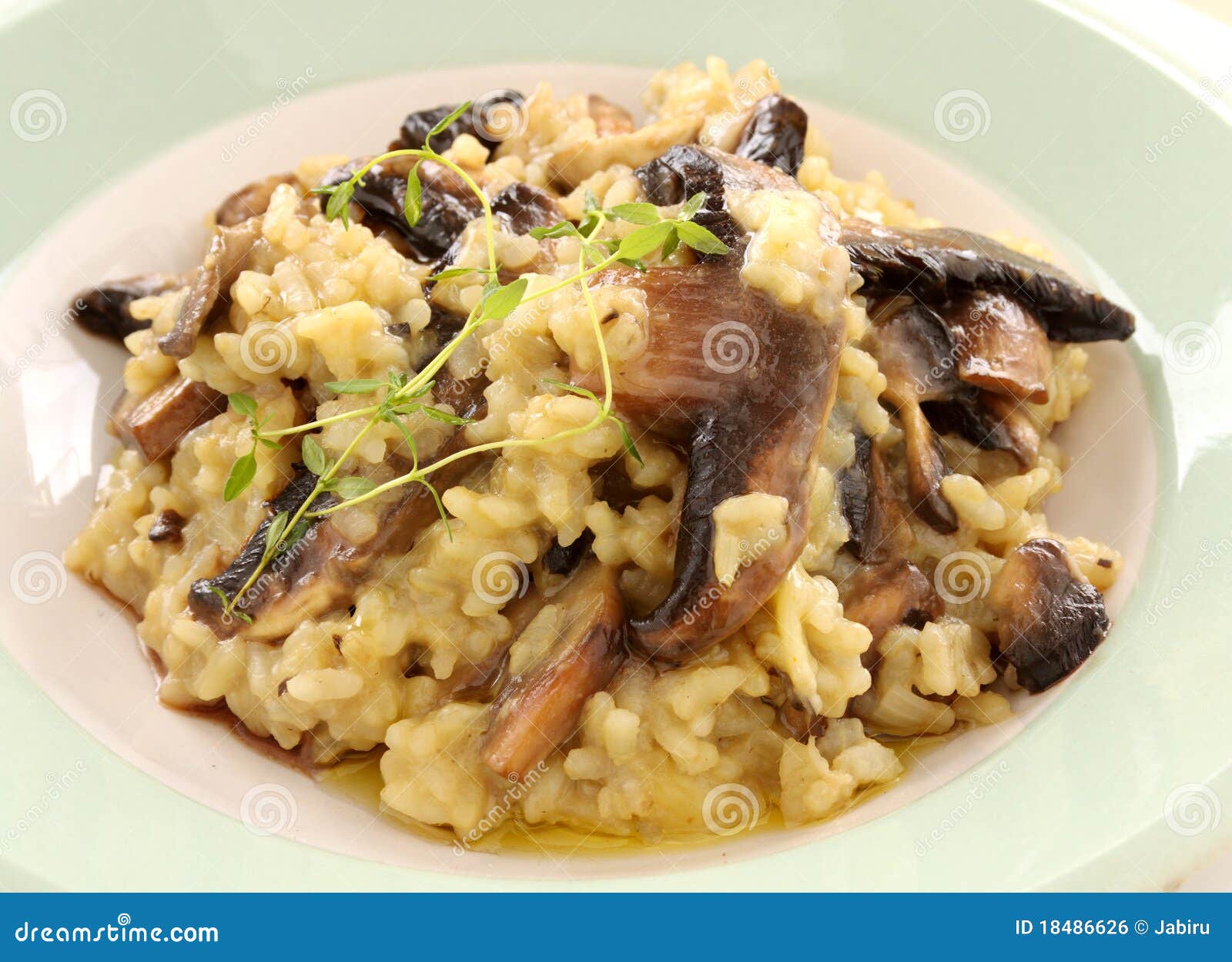 Mushroom Risotto stock photo. Image of nourishment, lunch - 18486626