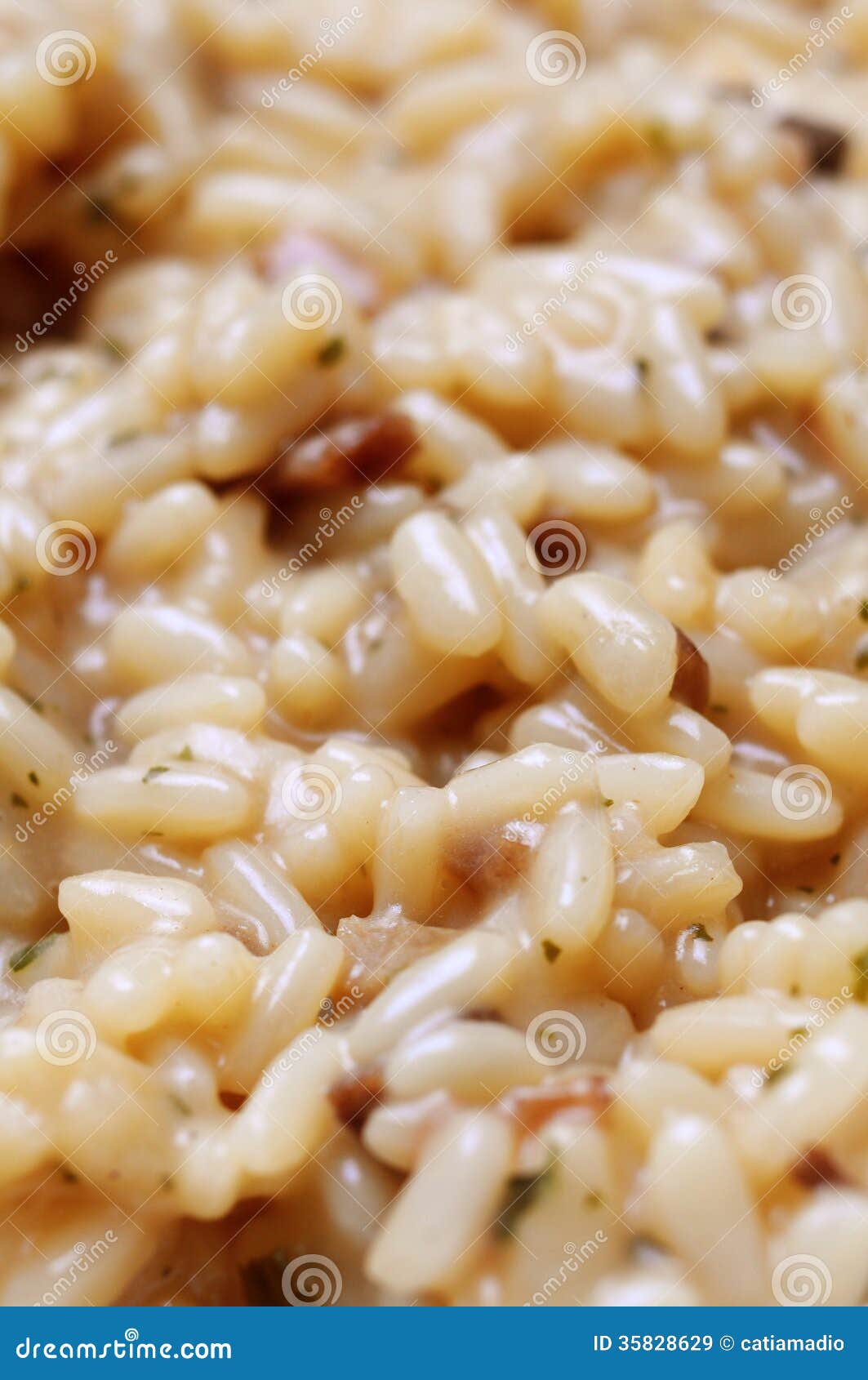 Mushroom risotto stock image. Image of mediterranean - 35828629