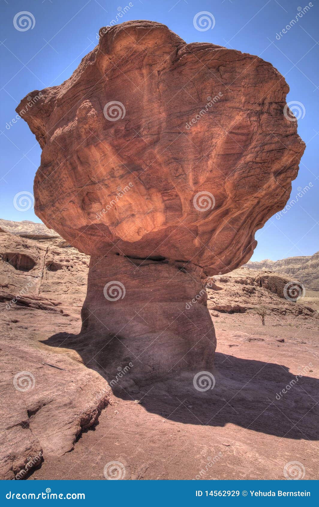 The Mushroom Rock stock image. Image of negev, eilat - 14562929