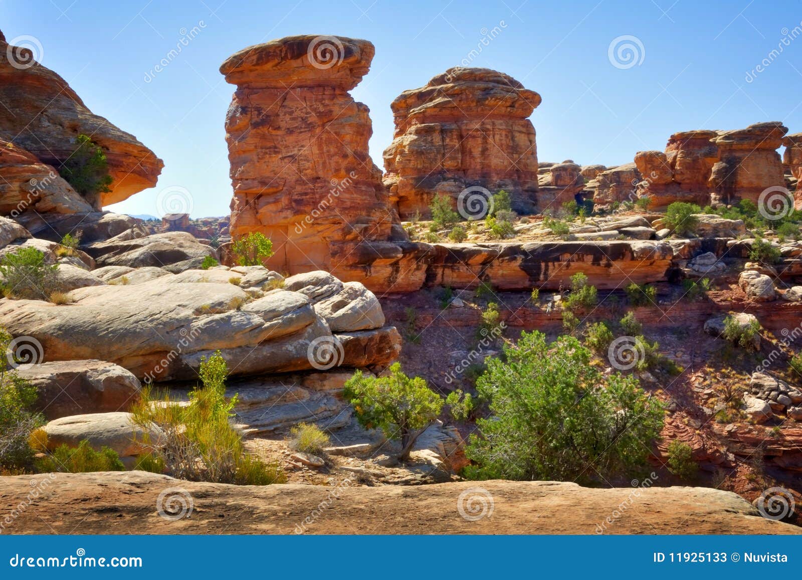 Mushroom rocks stock image. Image of park, mountain, desert - 11925133