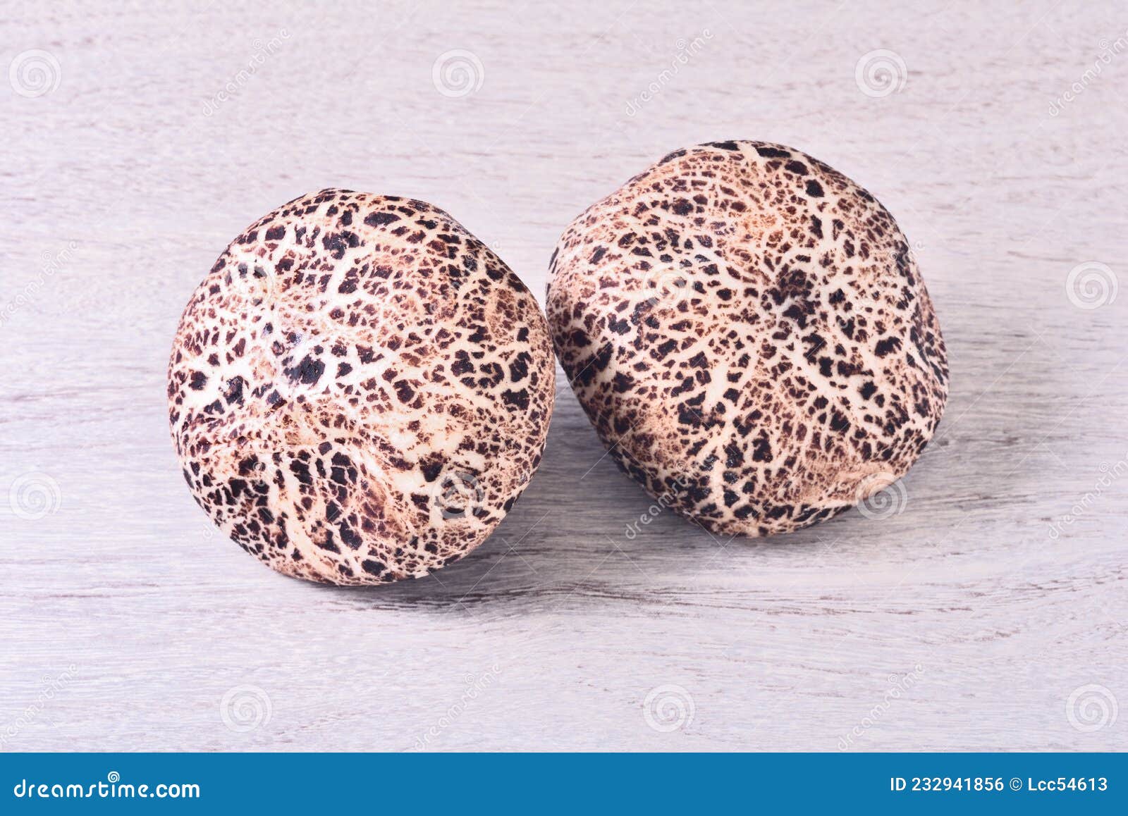 Mushroom-shaped Sesame Buns Stock Photo - Image of closeup, restaurant ...