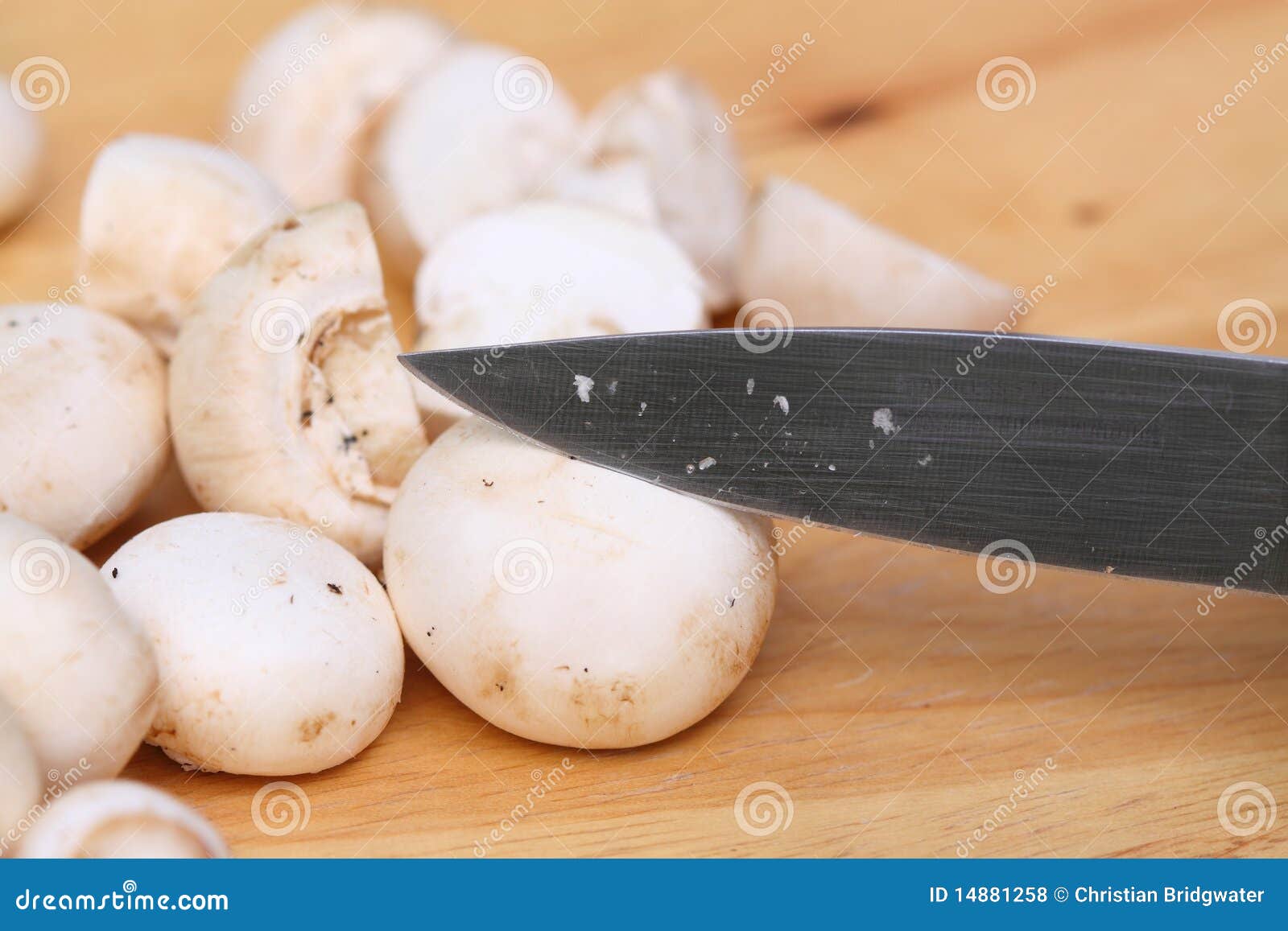 Mushroom sliced stock photo. Image of gather, mushroom - 14881258