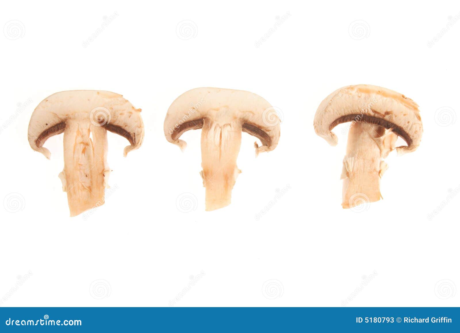 Mushroom slices stock image. Image of white, three, ingredient - 5180793