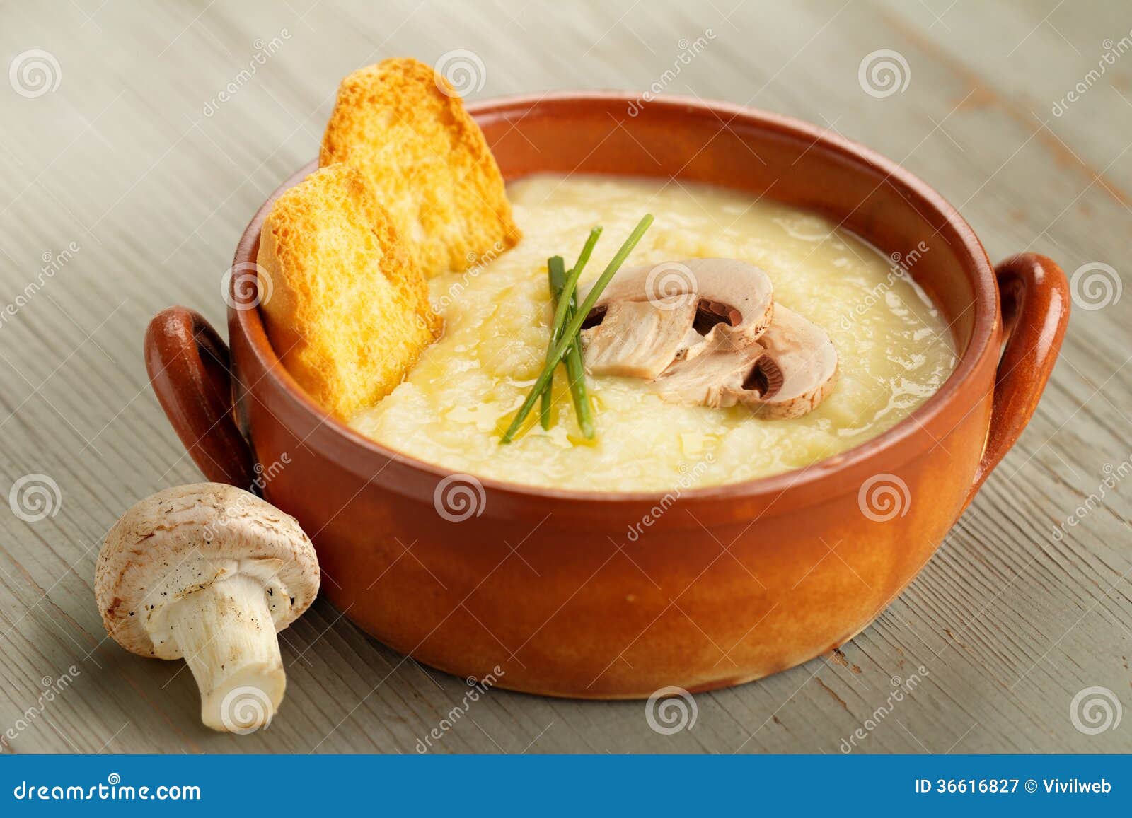 Mushroom soup stock image. Image of garnish, dish, cream - 36616827