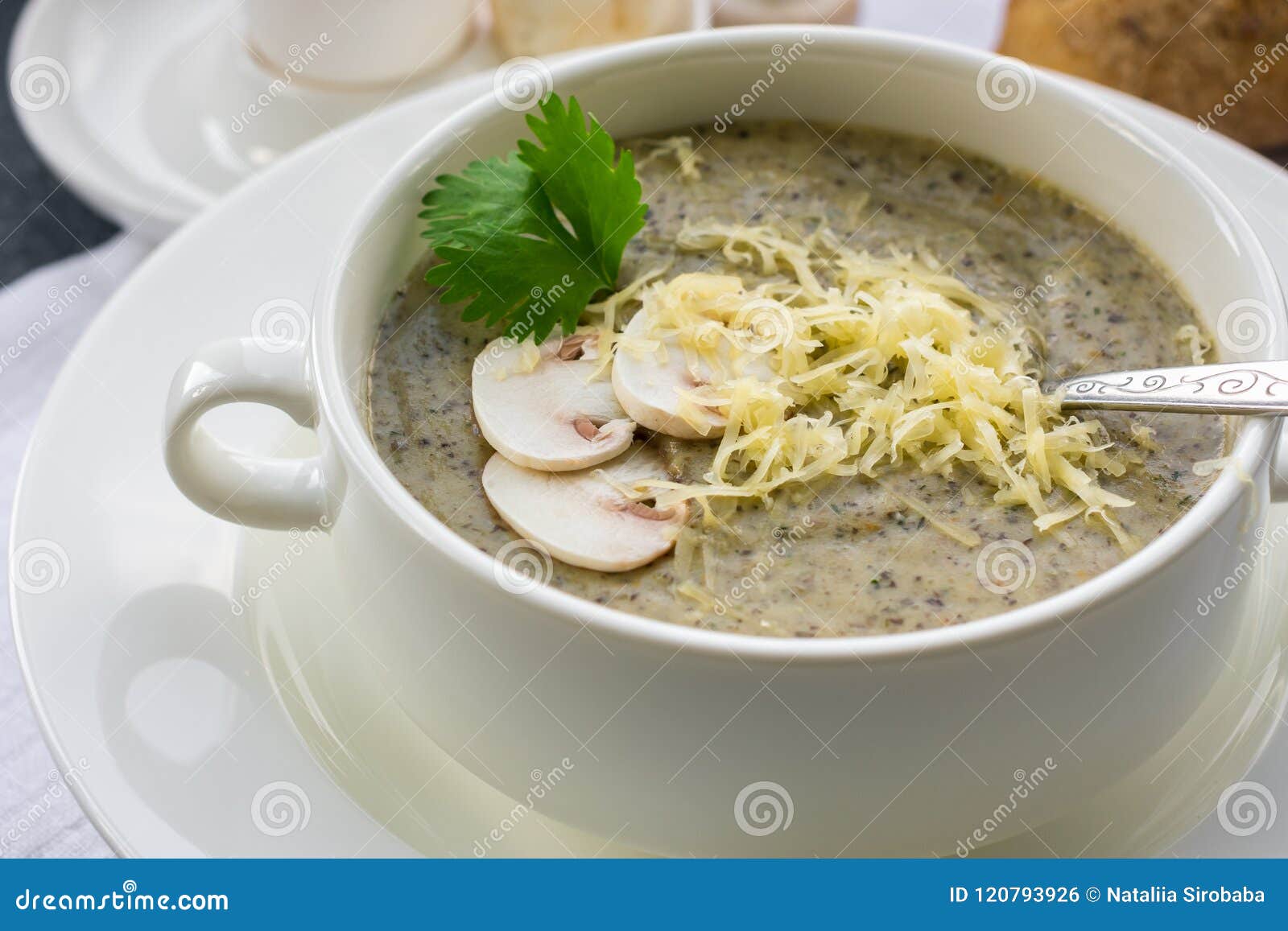 Mushroom soup puree. stock photo. Image of gourmet, appetizer - 120793926