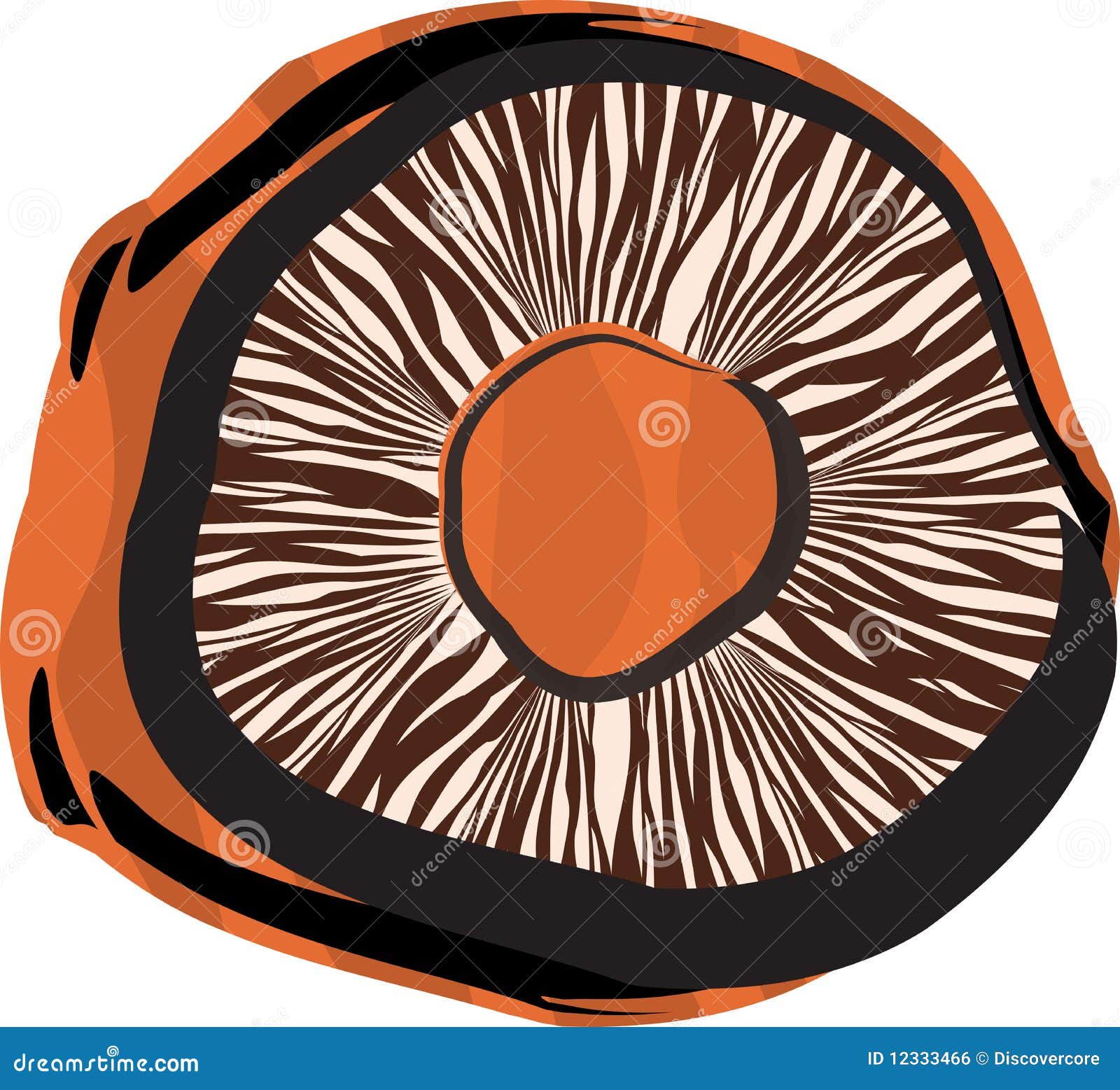 Mushroom Spore stock vector. Illustration of vegetable - 12333466