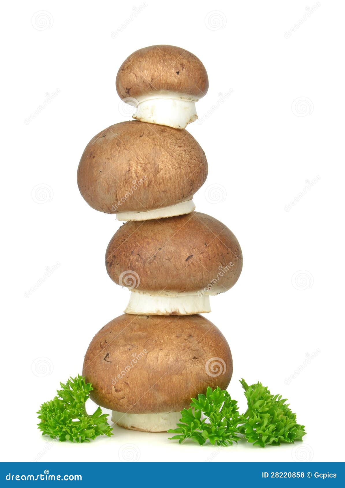 Mushroom Stack stock photo. Image of food, unpeeled, health - 28220858
