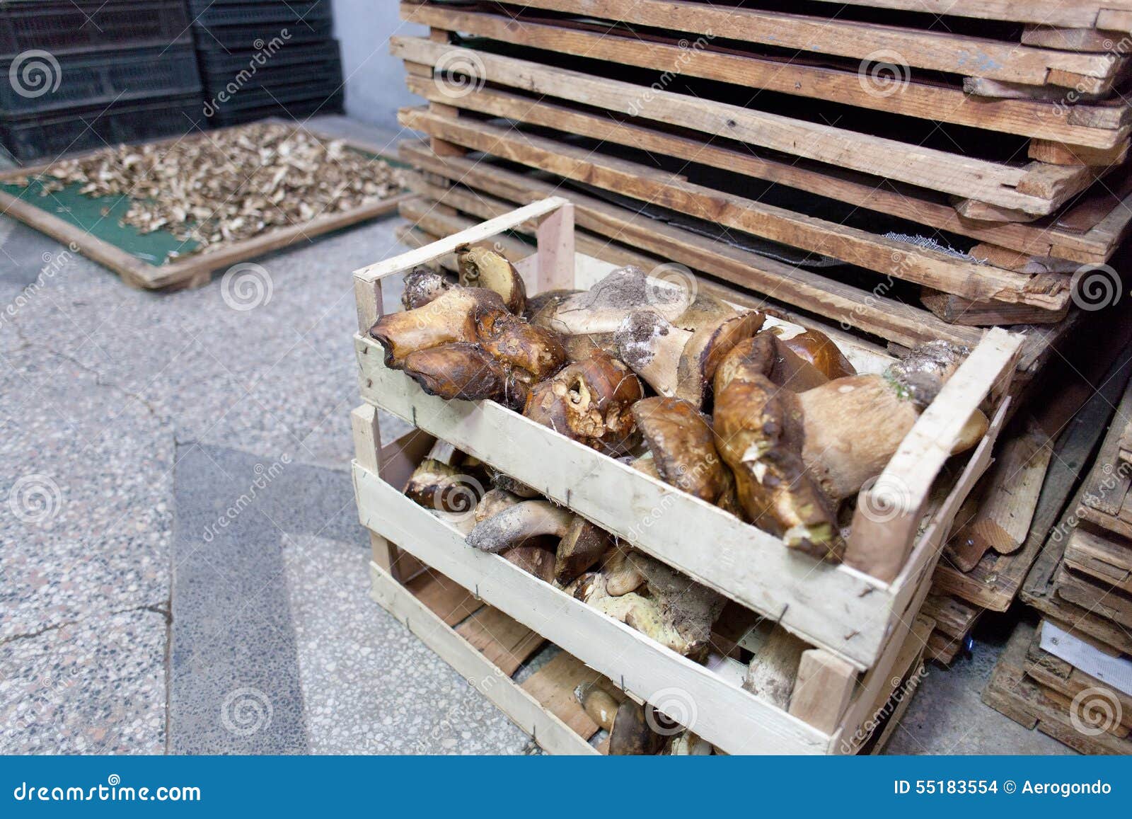 Mushroom Storage Crate Stock Photos - Free & Royalty-Free Stock Photos ...