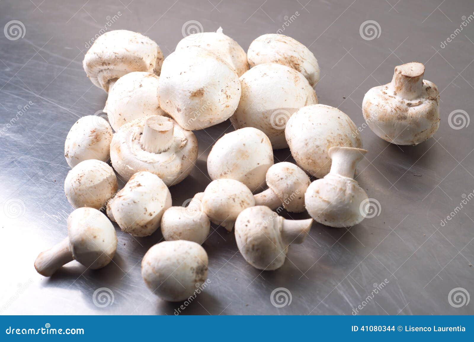 The mushroom stock photo. Image of mycelium, store, diet - 41080344