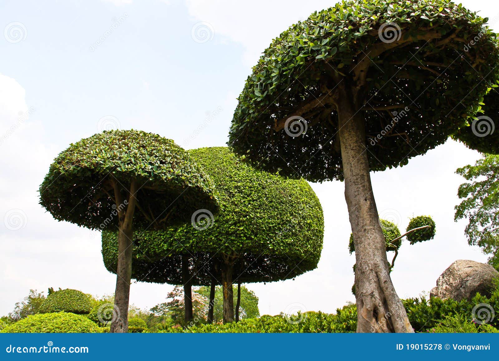 Mushroom tree stock photo. Image of romantic, fall, field - 19015278