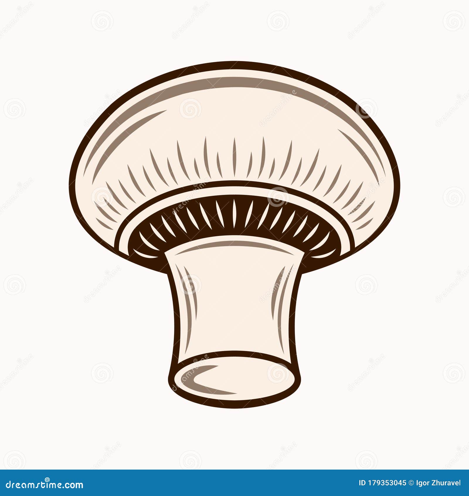 Mushroom Vector Isolated Drawing Illustration Stock Vector ...