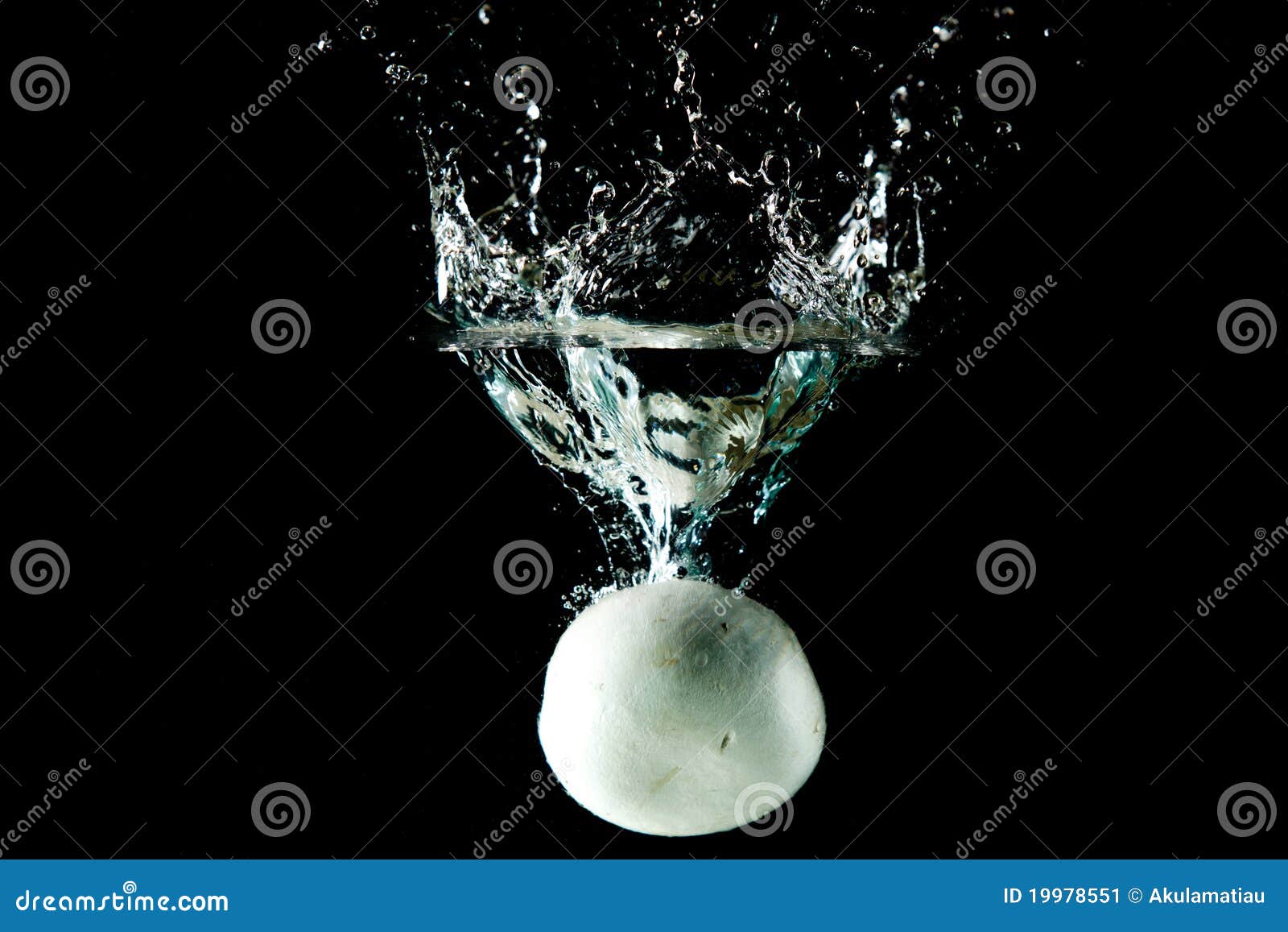 Mushroom Water Splash stock image. Image of nature, liquid - 19978551