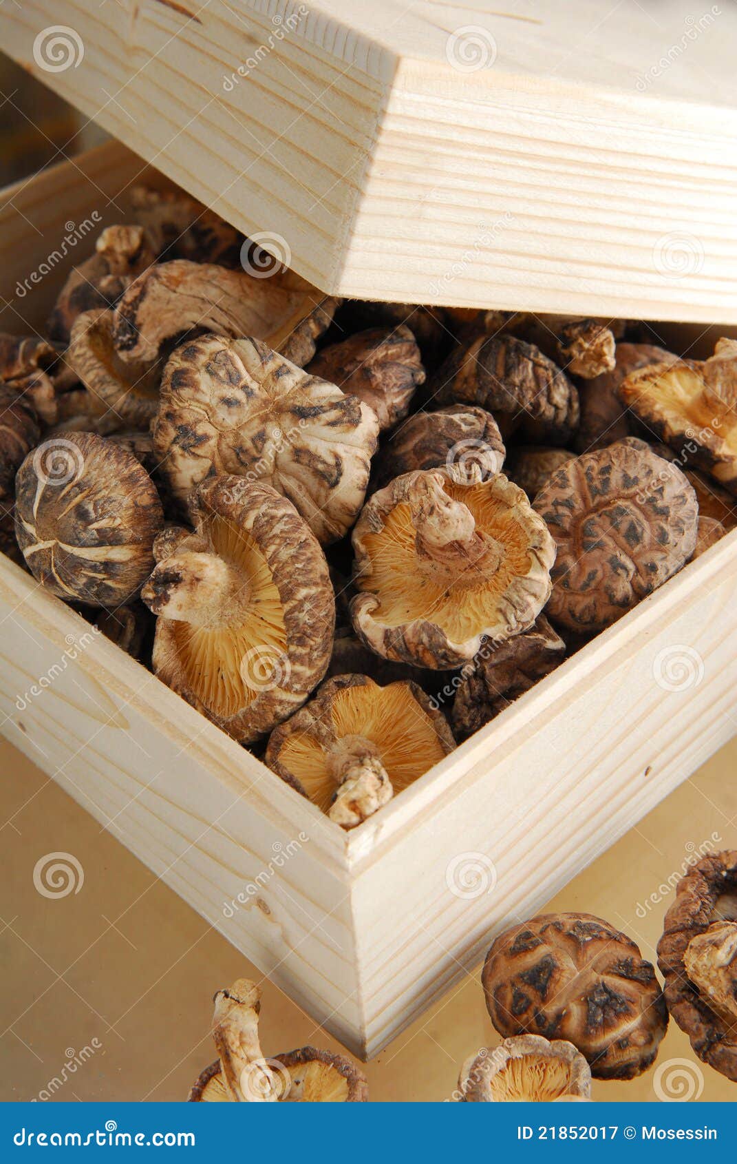 Mushroom Wooden box stock image. Image of macro, close - 21852017