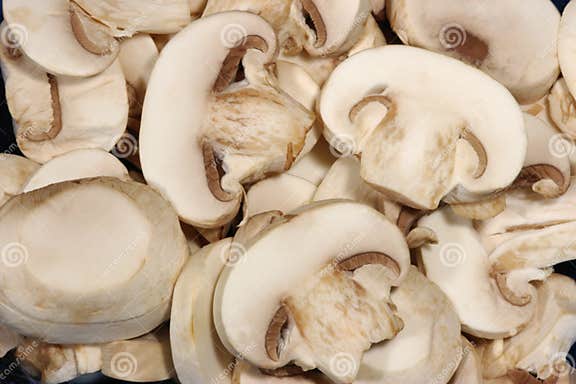 Mushrooms stock photo. Image of mushroom, food, annulus - 564918