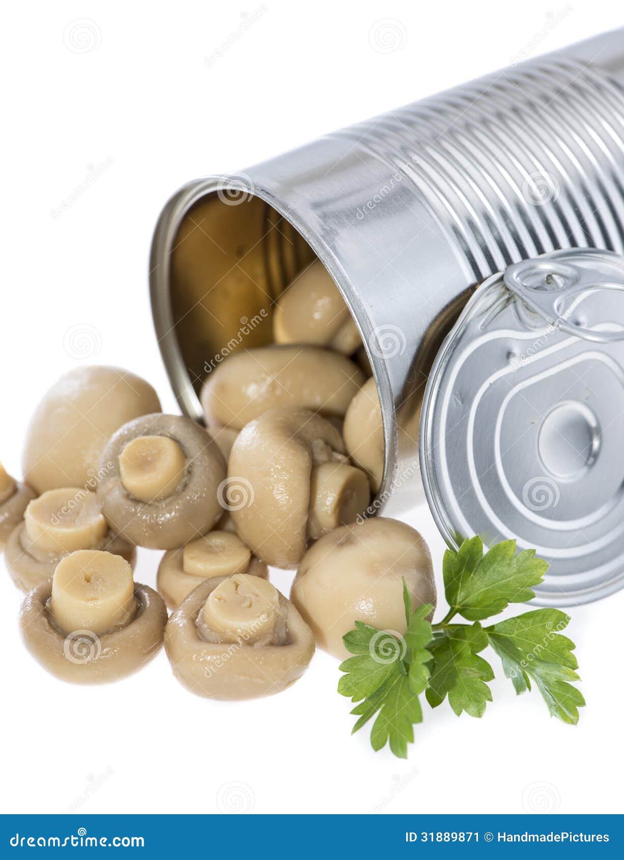 Mushrooms in a can stock image. Image of mushrooms, canned - 31889871