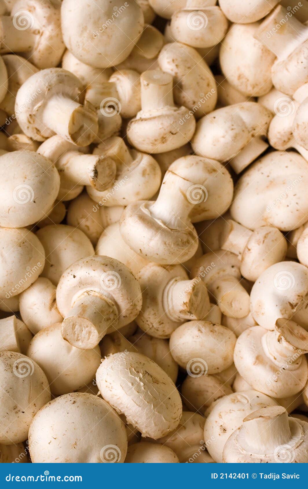 Mushrooms, champignons stock image. Image of carbonara - 2142401