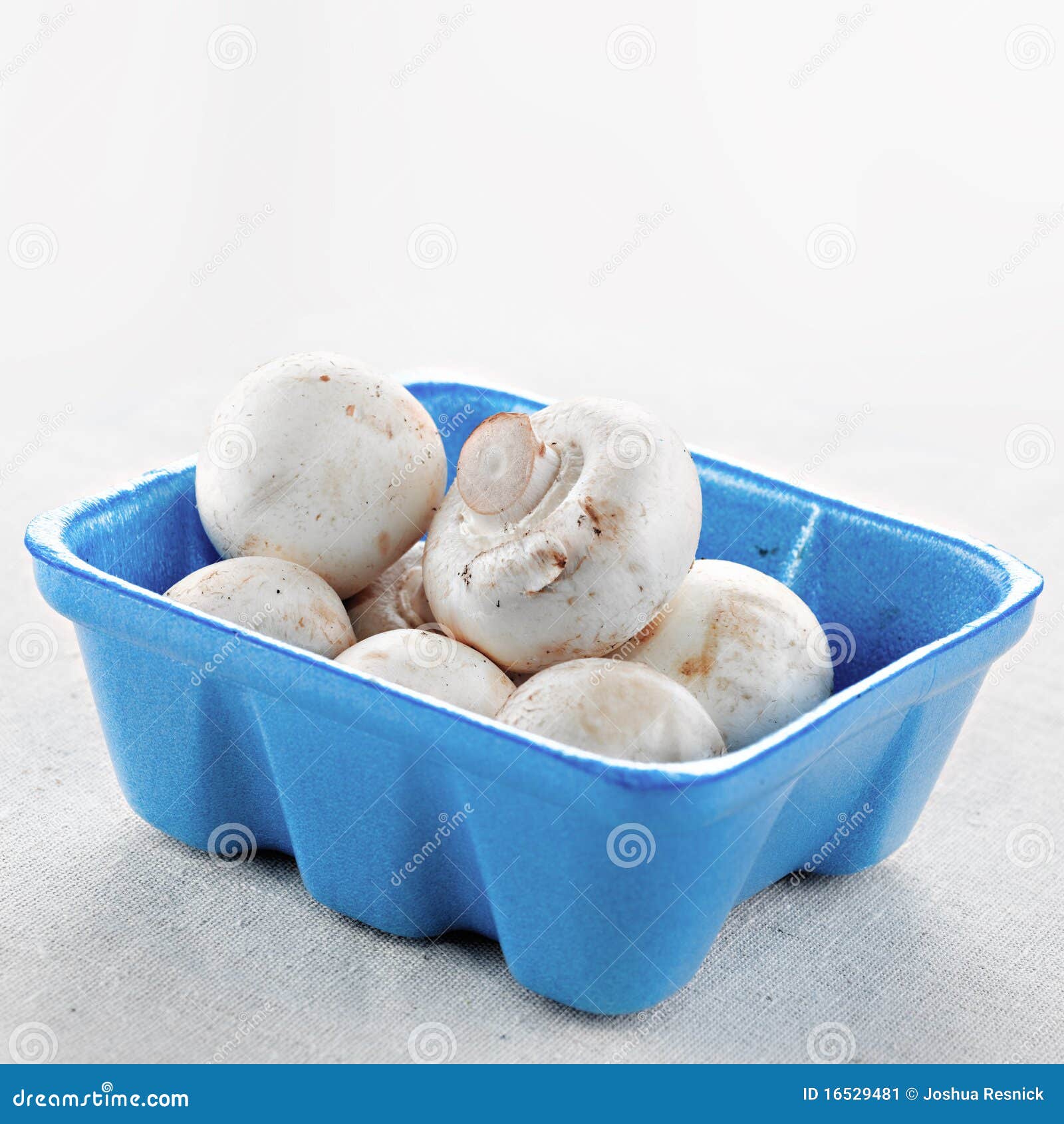Mushrooms in a container stock image. Image of fungus - 16529481