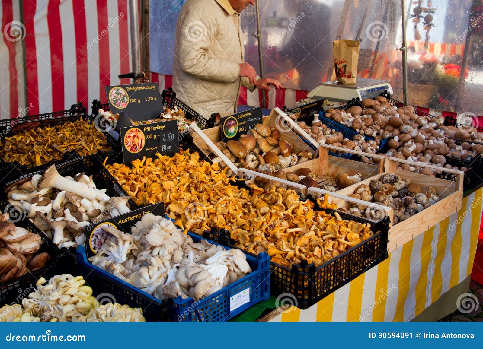 Mushrooms on a Farmer`s Market Editorial Photo - Image of tablecloth ...