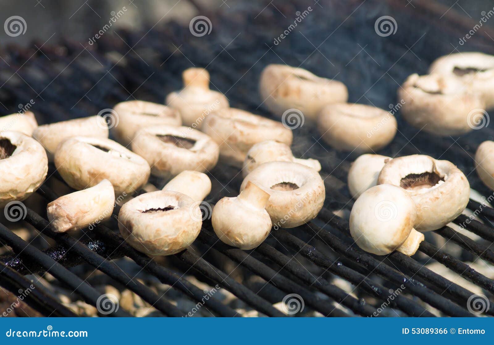 Mushrooms on the grill stock photo. Image of mushrooms - 53089366