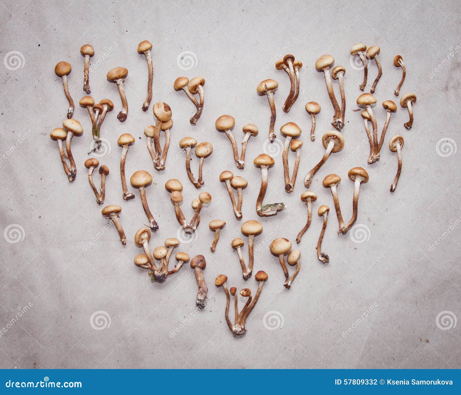 Mushrooms, heart shape stock photo. Image of plate, esculent - 57809332