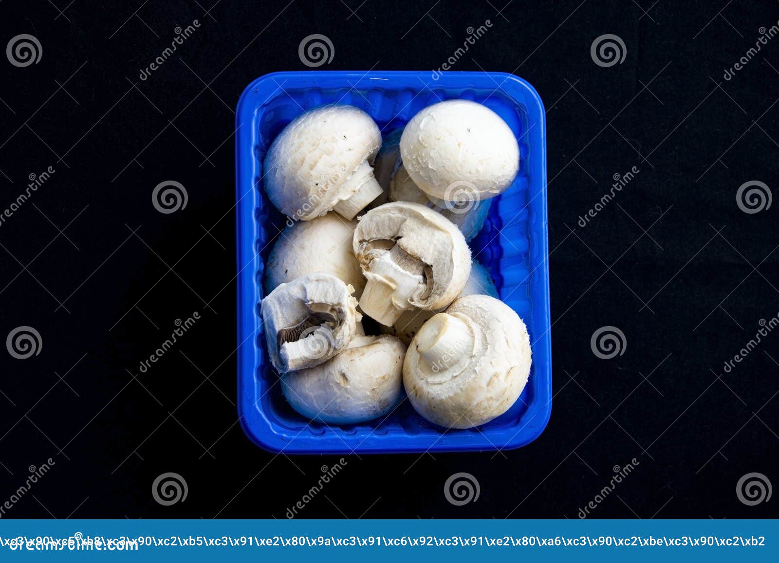 Mushrooms and Mushrooms in a Blue Container. Stock Photo - Image of ...