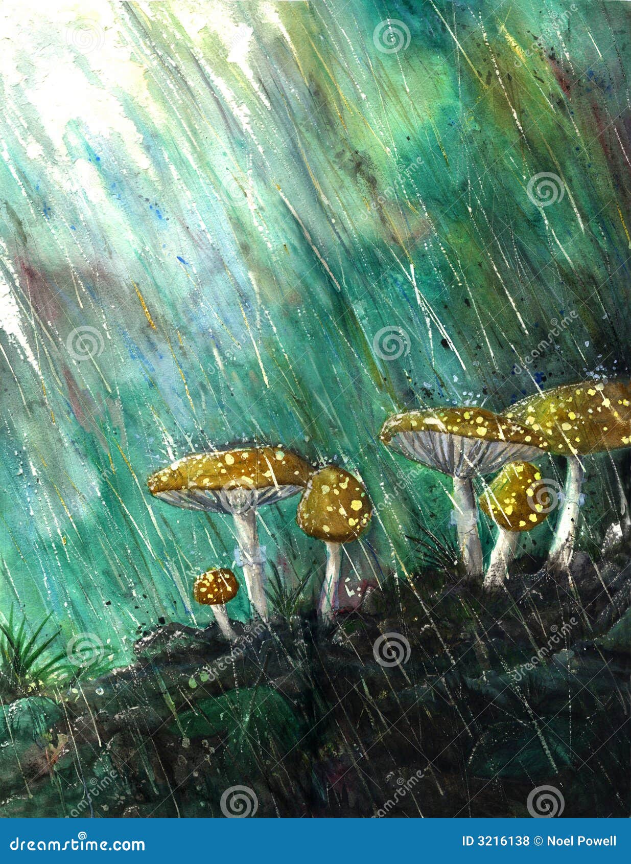 Mushrooms in the Rain stock illustration. Illustration of botanical ...