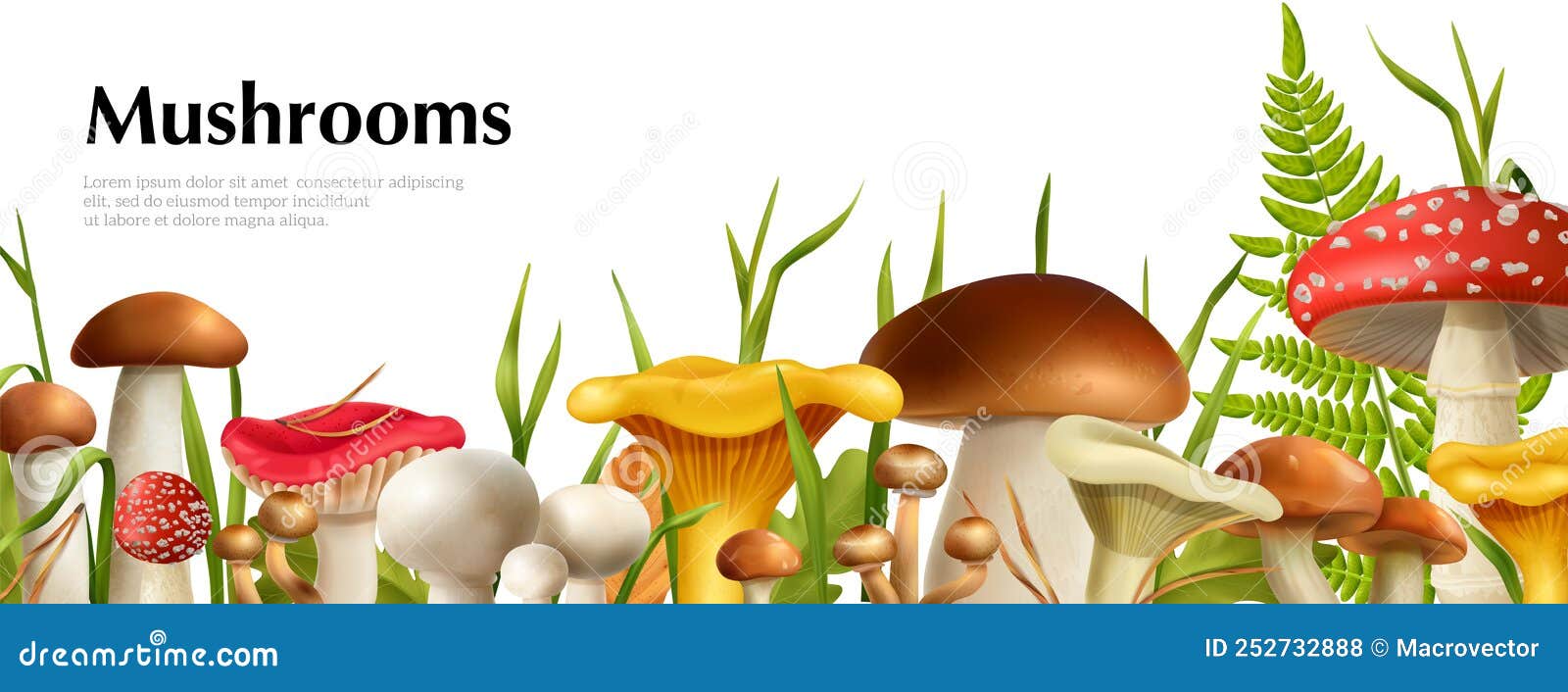 Mushrooms Realistic Poster Set Vector Illustration | CartoonDealer.com ...
