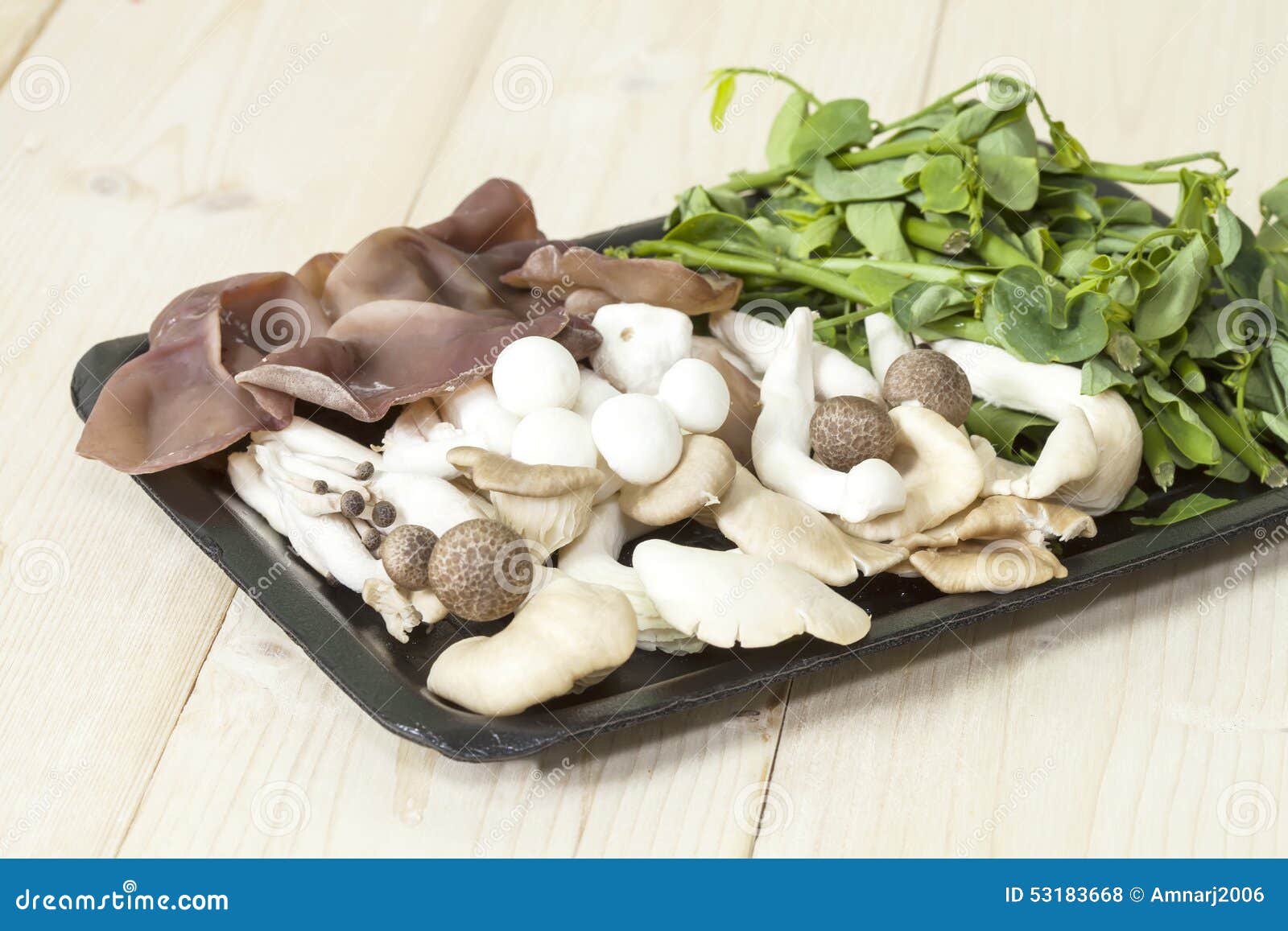 Mushrooms and vegetable stock photo. Image of background - 53183668