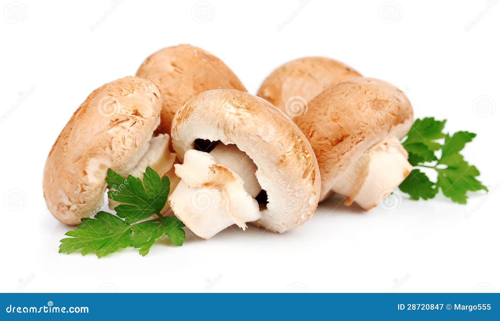 Mushrooms vegetables stock image. Image of health, refreshment - 28720847