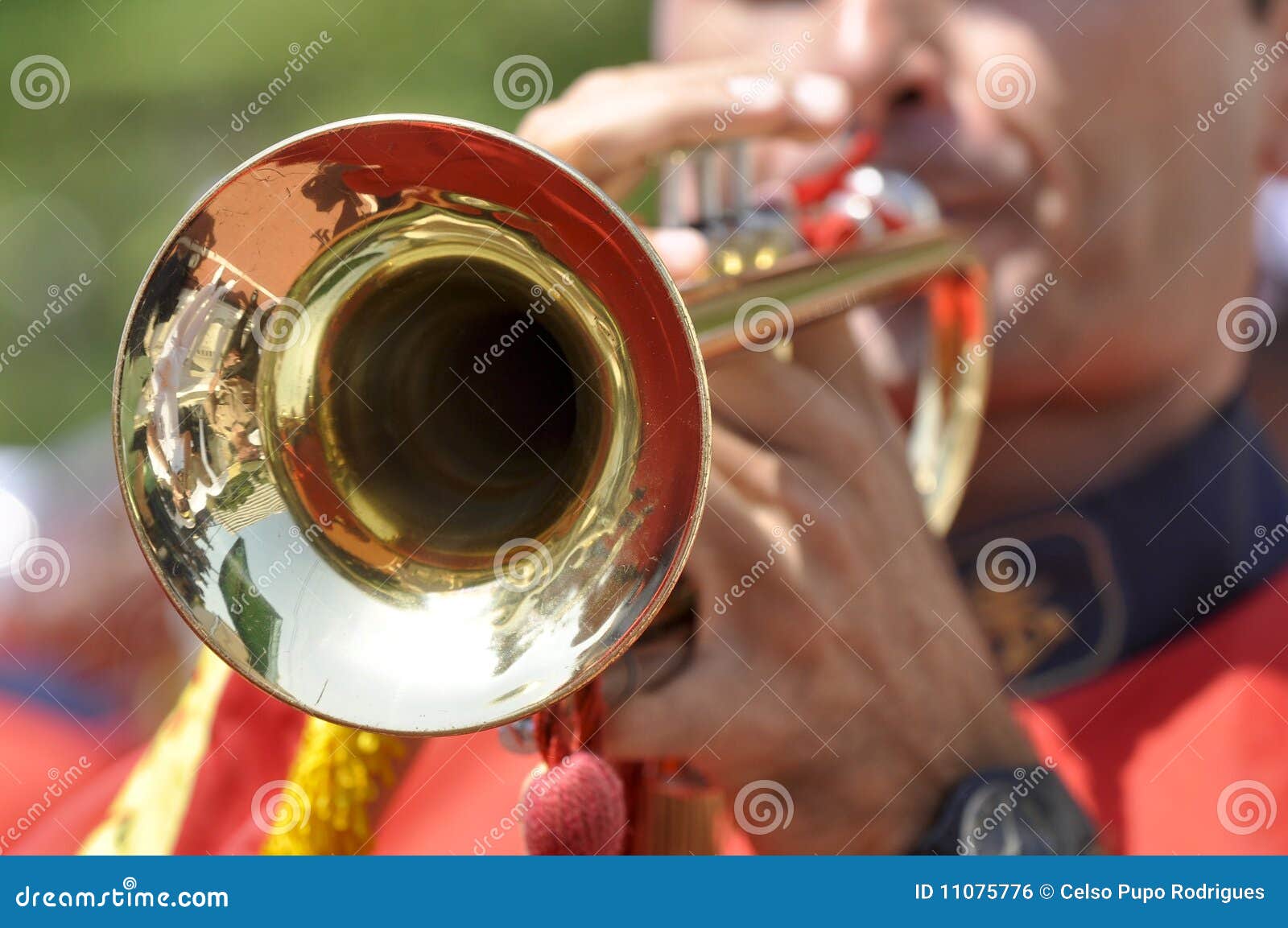Music stock photo. Image of trumpet, musical, music, musician - 11075776