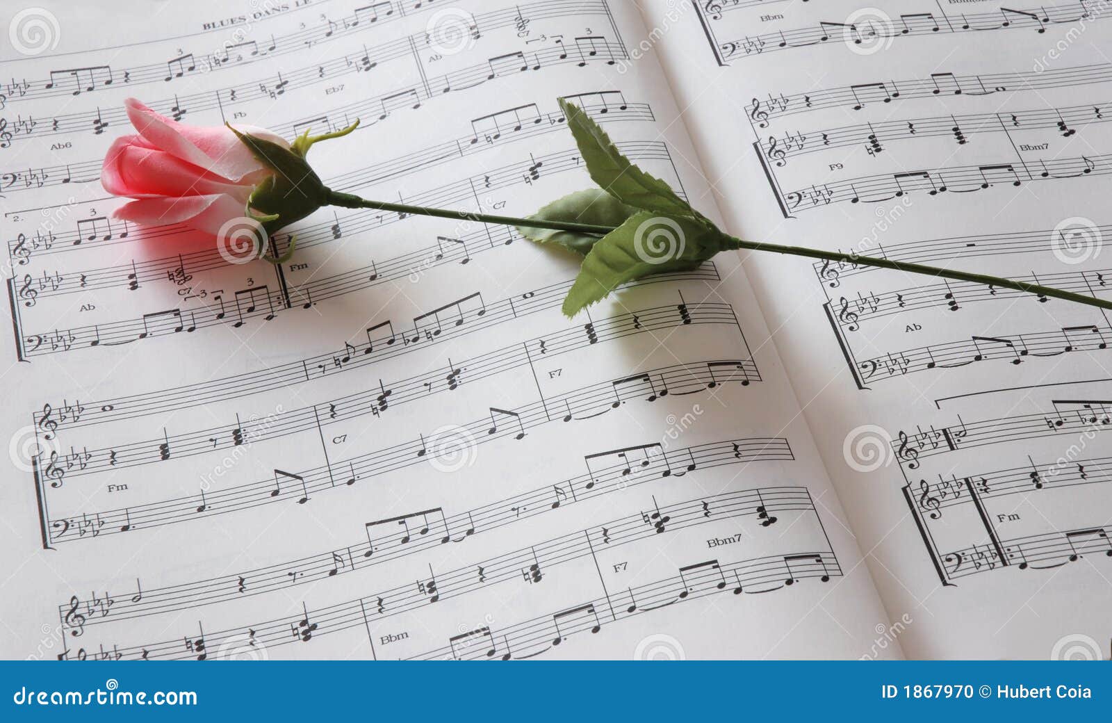 Music abd flower stock photo. Image of melody, vaentin - 1867970