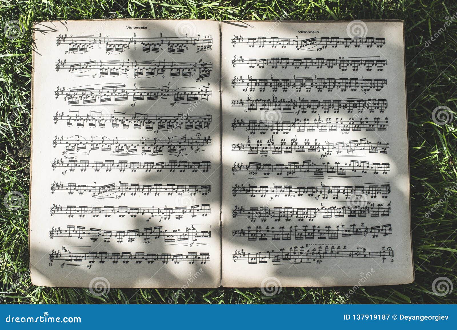 Music Book with Notes on Grass Stock Image - Image of melody, symbol ...