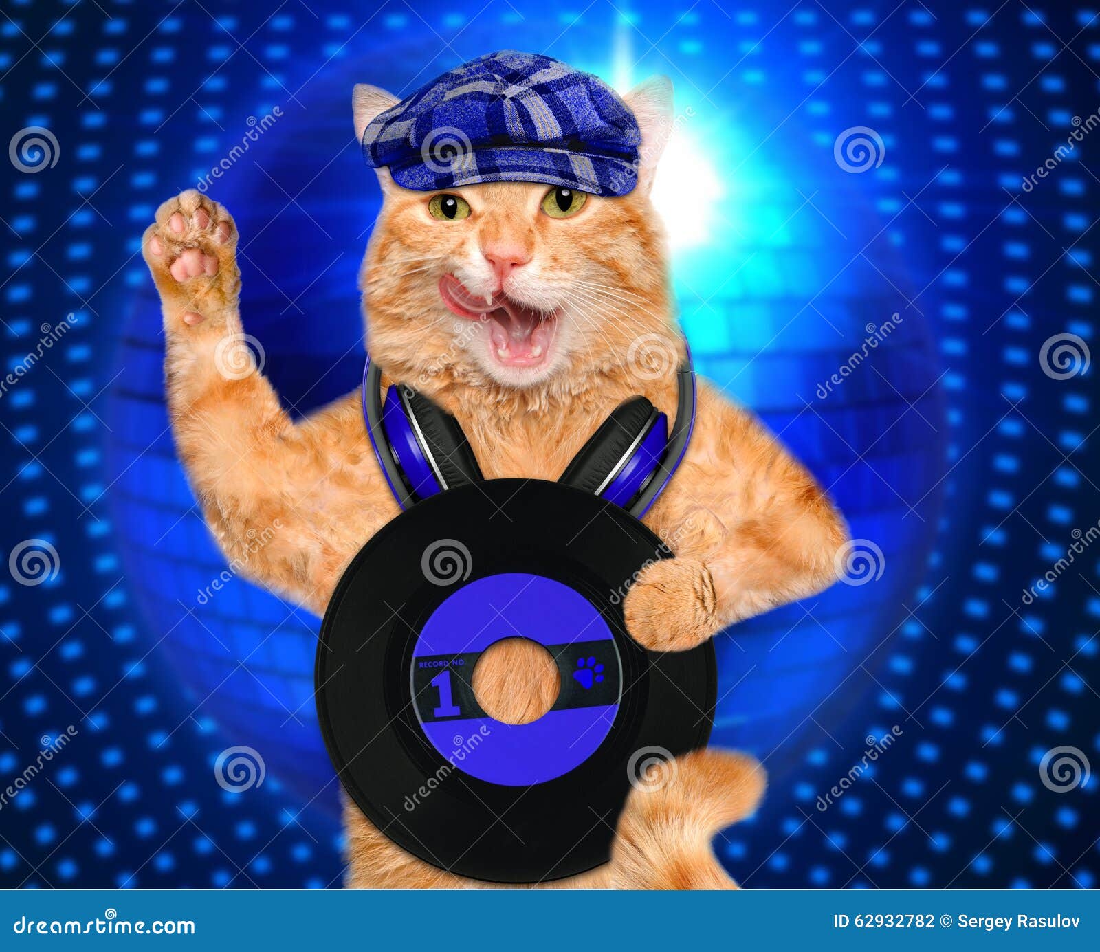 Music Headphone Vinyl Record Cat. Stock Photo - Image of funny ...