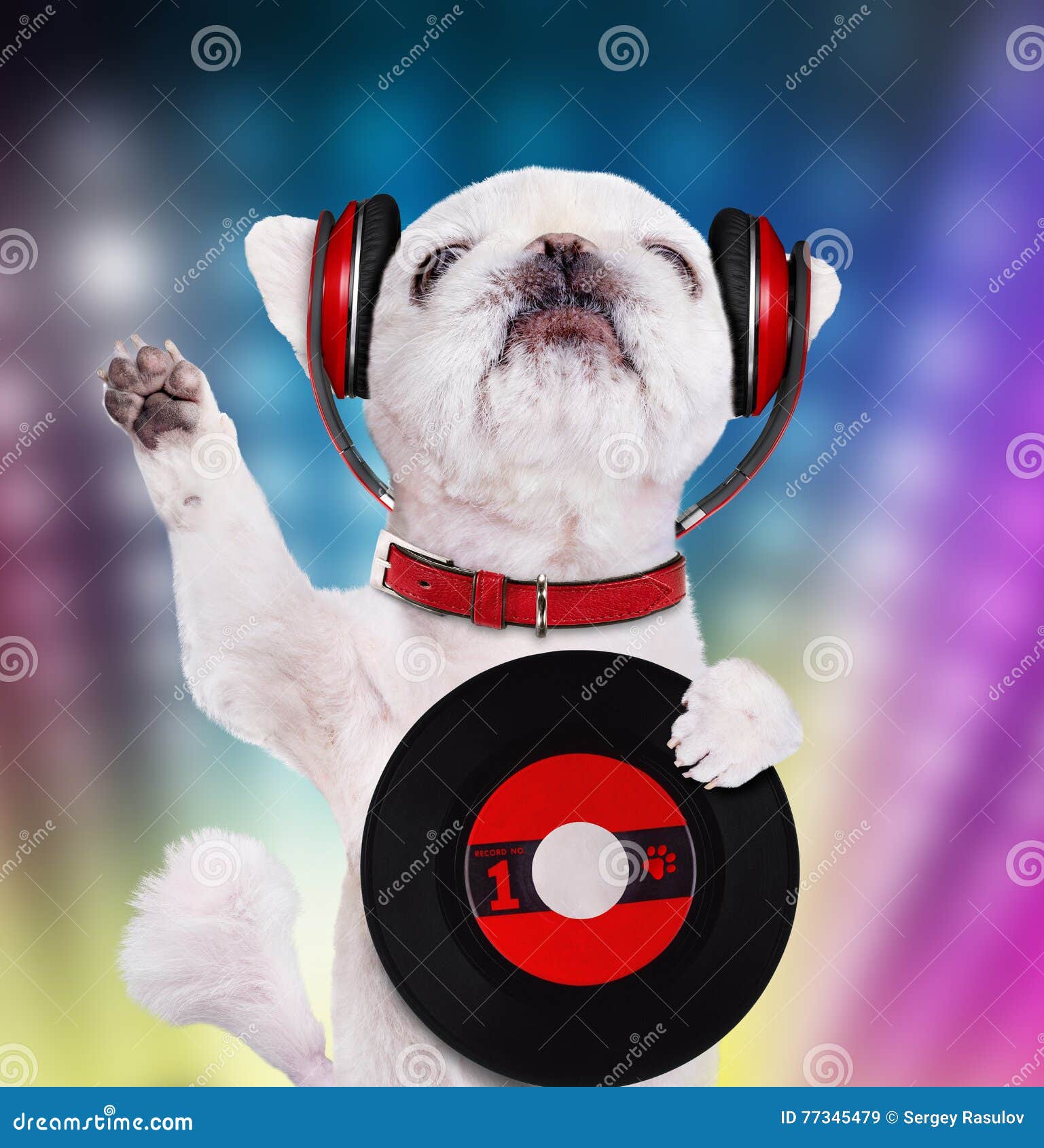 Music Headphone Vinyl Record Dog. Stock Image - Image of happy, animal ...