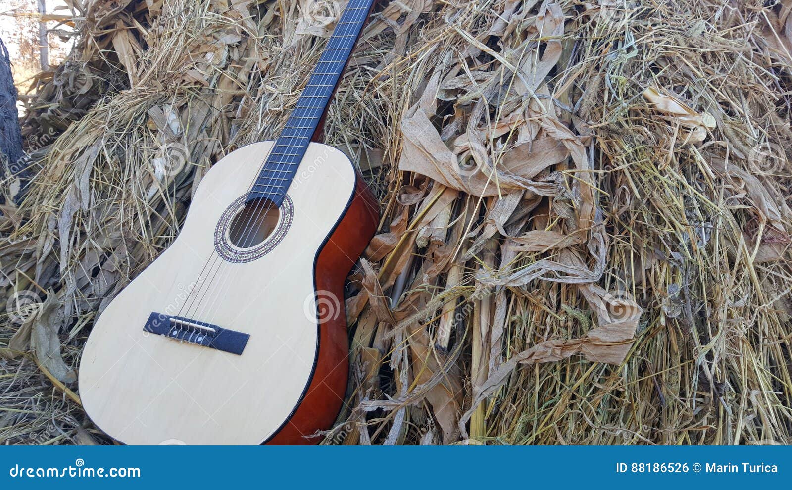 Music Instrument Guitar Leaning on the Haystack Stock Photo - Image of ...