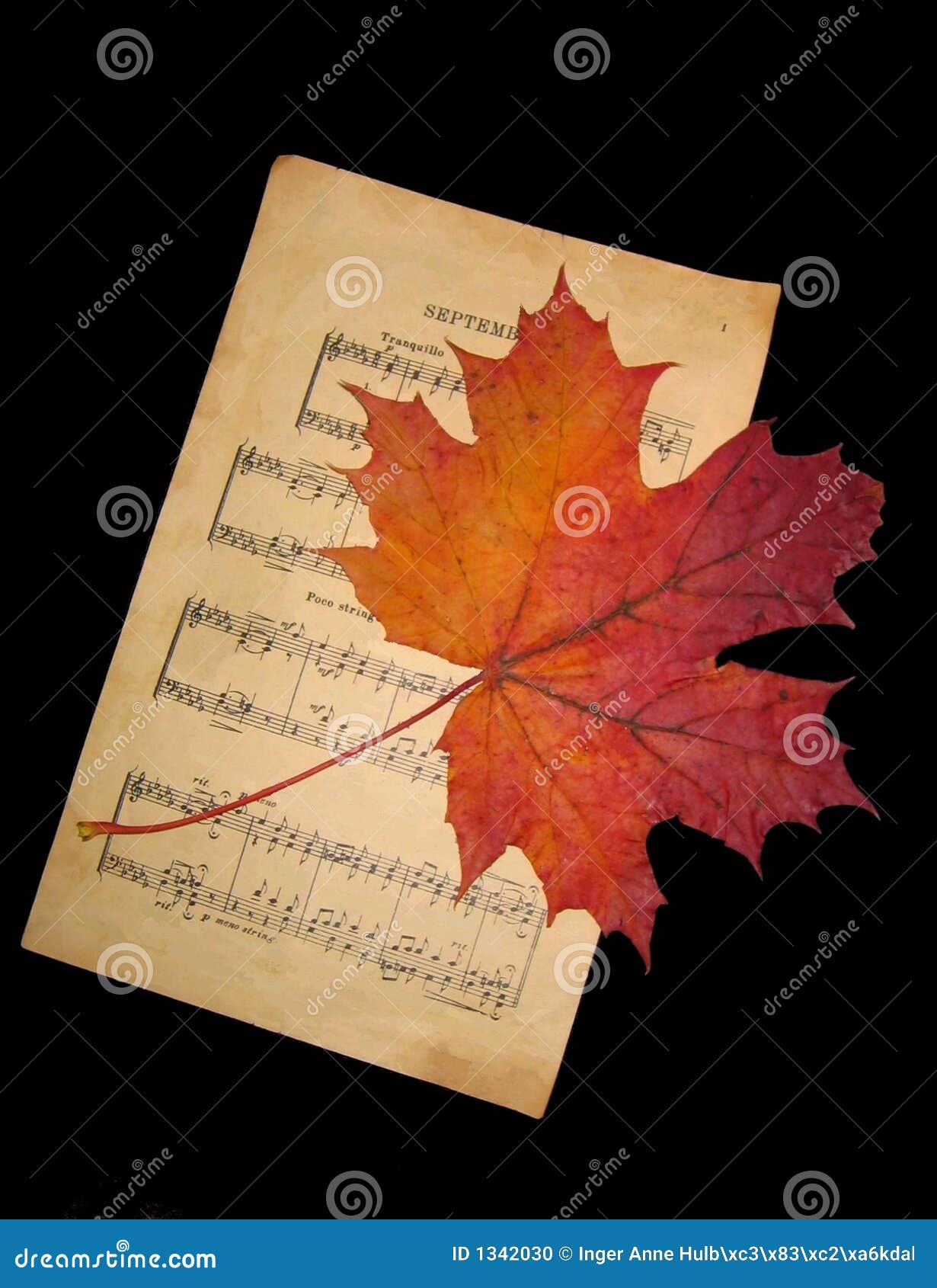 Music and leaf stock photo. Image of song, weathered, season - 1342030