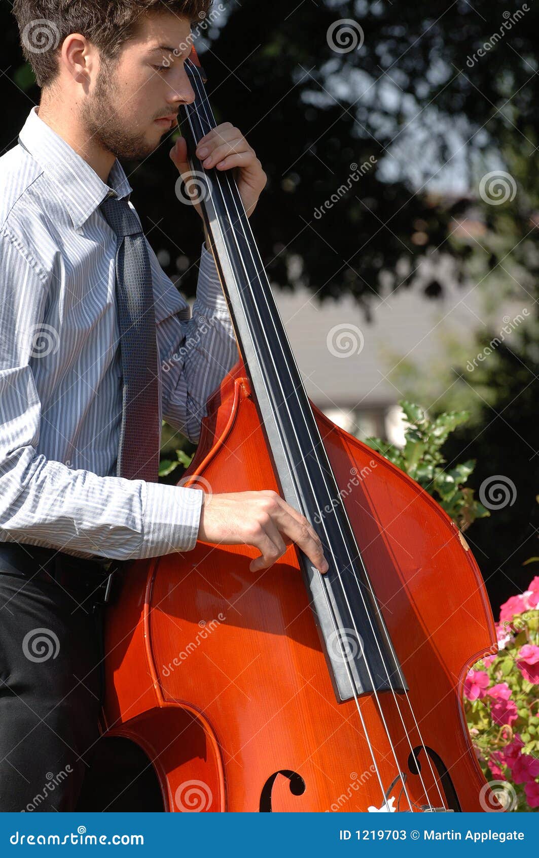 Music Man 1 Picture. Image: 1219703