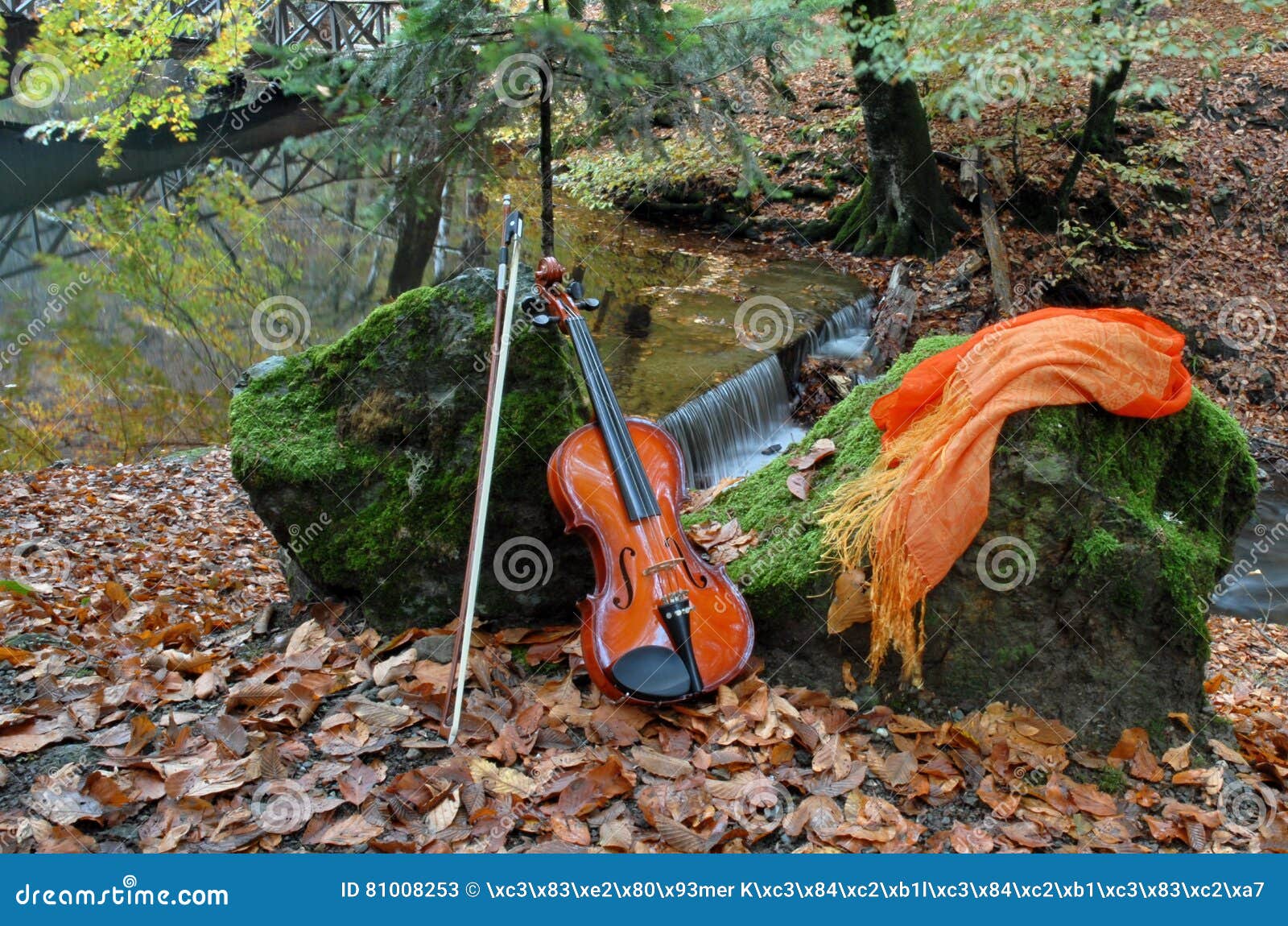 Music of nature stock image. Image of wrap, music, lake - 81008253