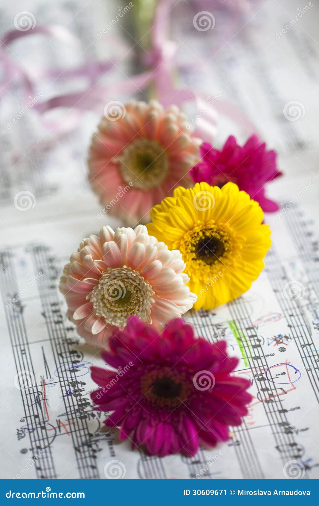 Music note stock image. Image of score, pink, partitur - 30609671