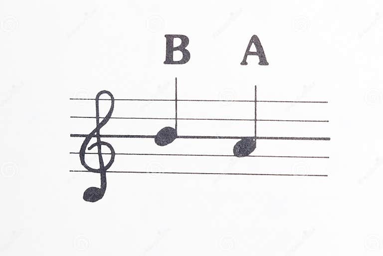 Music notes B and a stock photo. Image of monochrome - 13312992