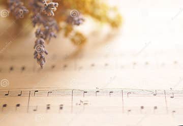 Music notes with flowers stock photo. Image of music - 34114176