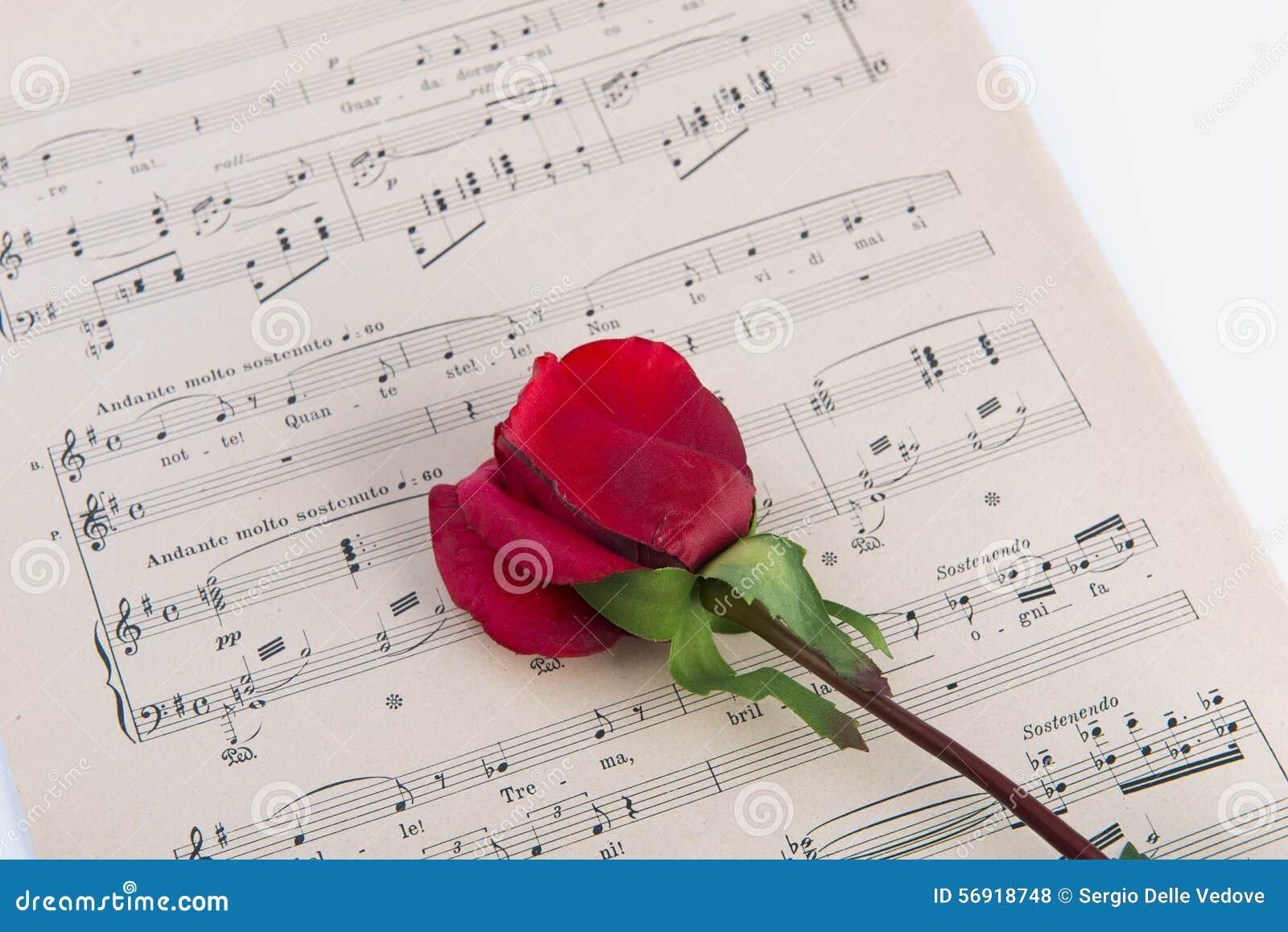 Music and rose stock photo. Image of lyric, petal, music - 56918748